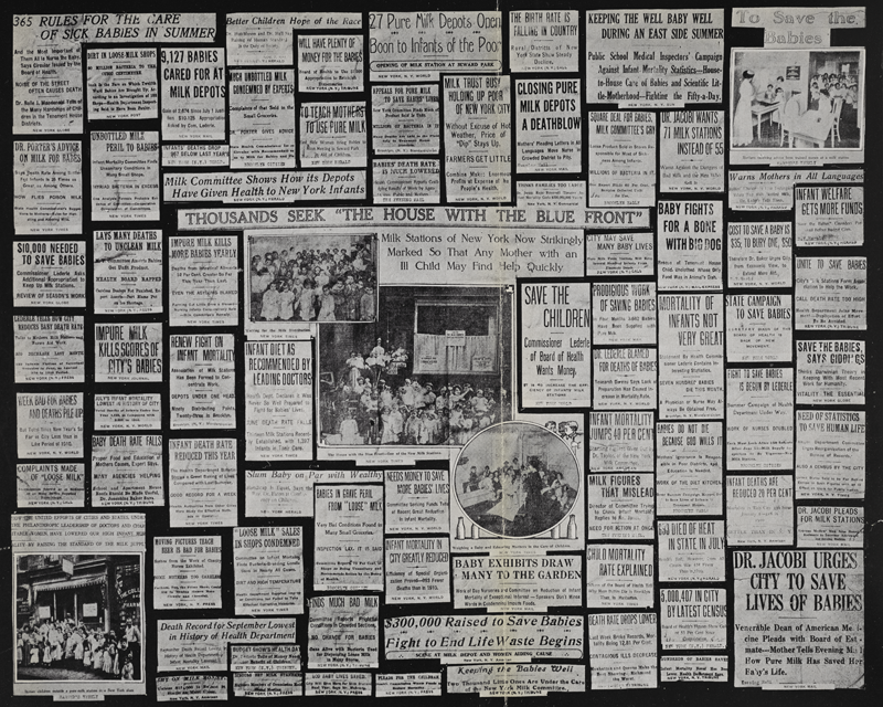 Chapter 5: Community Actions | Sheffield Farms