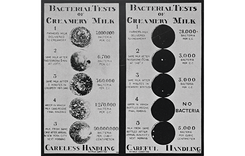 Chapter 5: Community Actions | Sheffield Farms